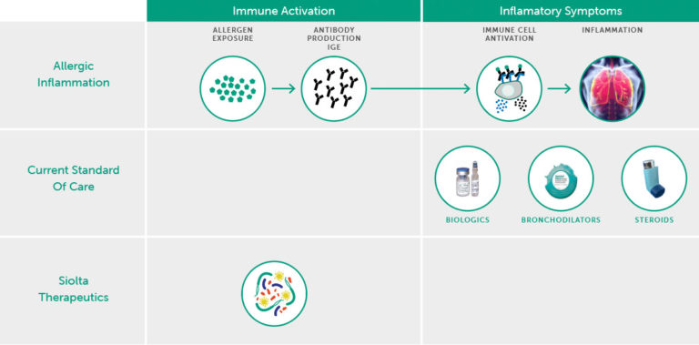 Pipeline - Siolta Therapeutics