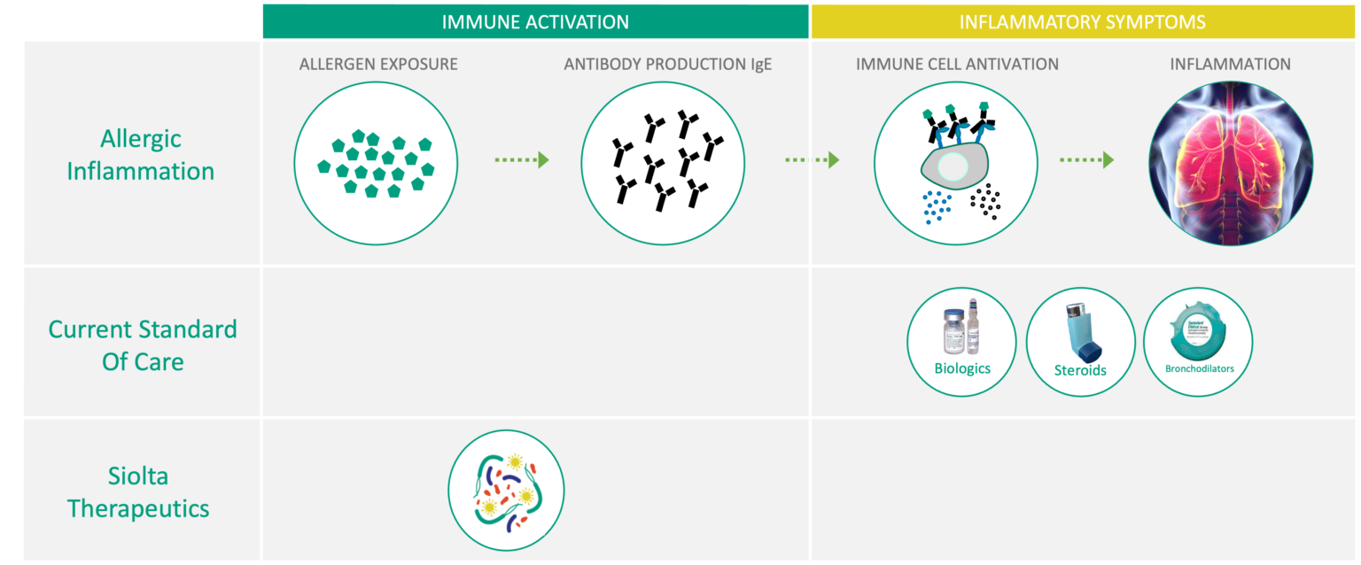 Pipeline - Siolta Therapeutics