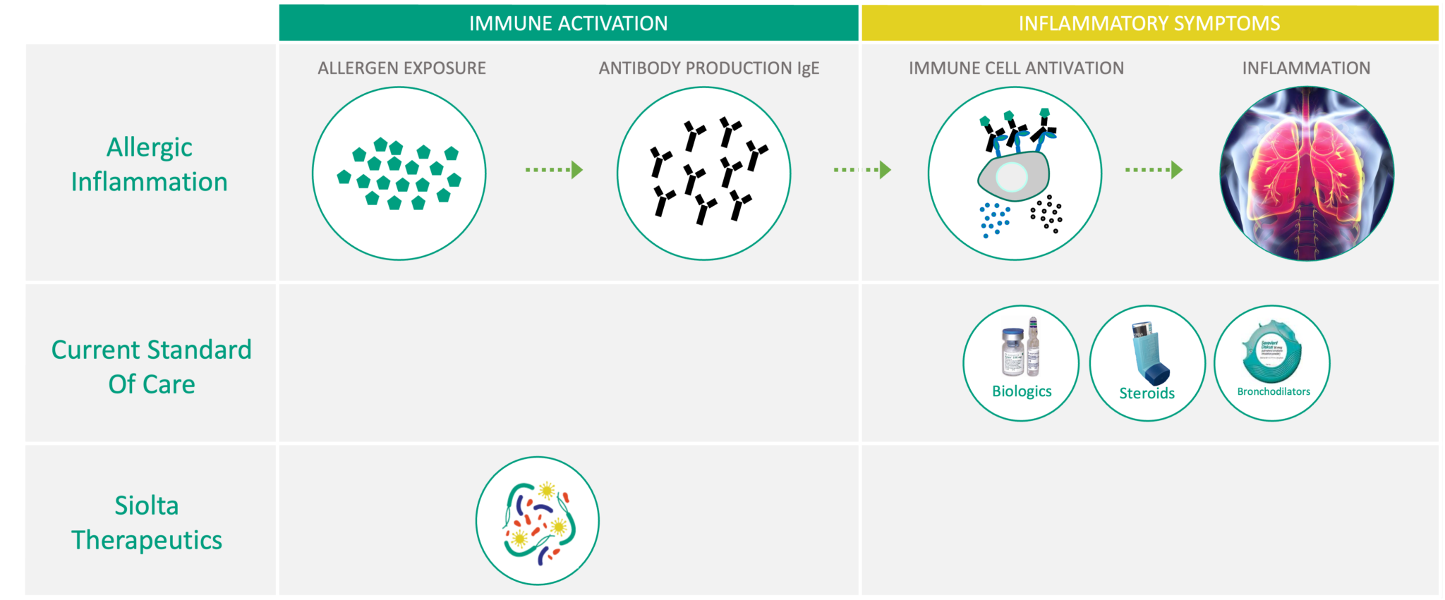 Pipeline - Siolta Therapeutics