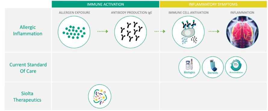 Pipeline - Siolta Therapeutics
